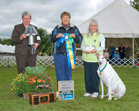 Eastern Shows - Greyhound Club Of America